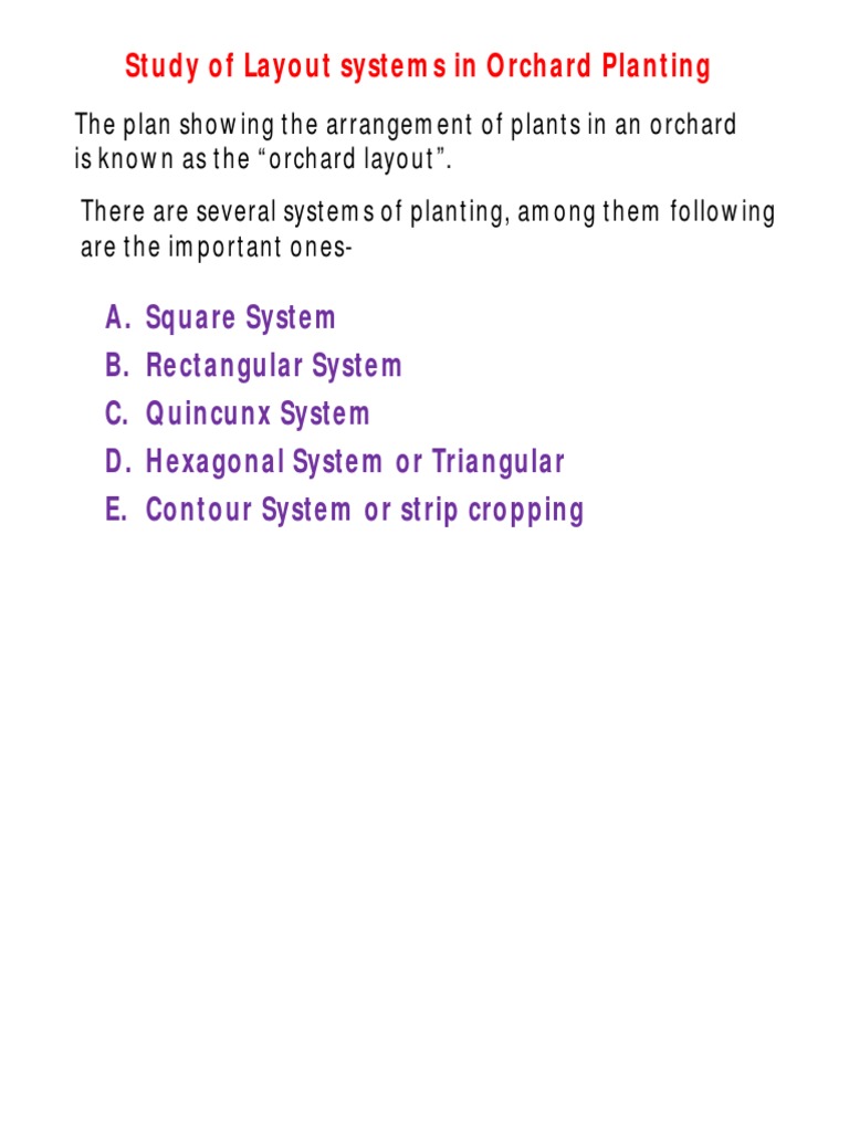 Planting System in Orchards | PDF | Rectangle | Orchard