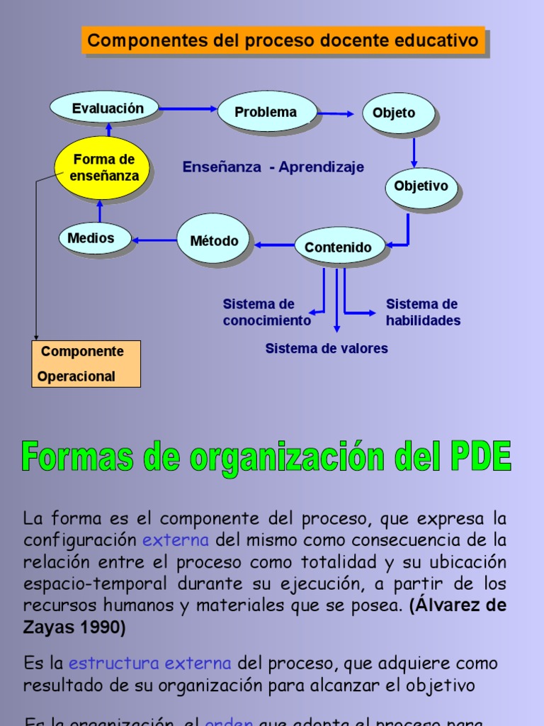 Formas Del Proceso de E-A | PDF