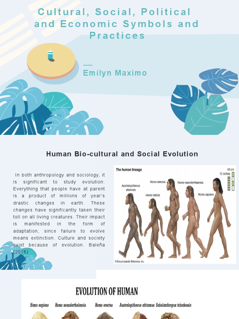 UCSP Human Evolution | PDF | Homo | Paleoanthropology