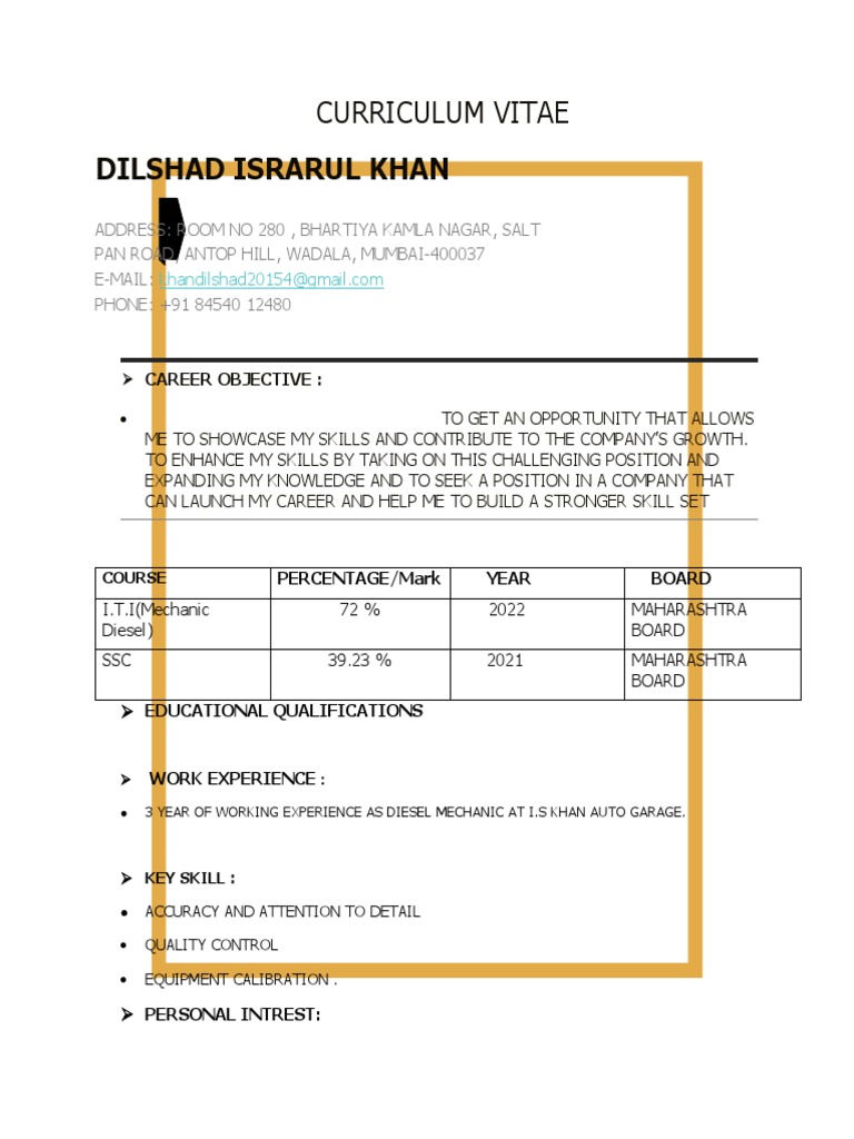 Dilshad Resume Final | PDF