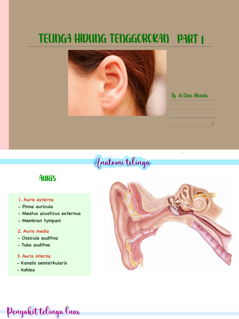 Modul THT 1 - DR Elvira PDF | PDF