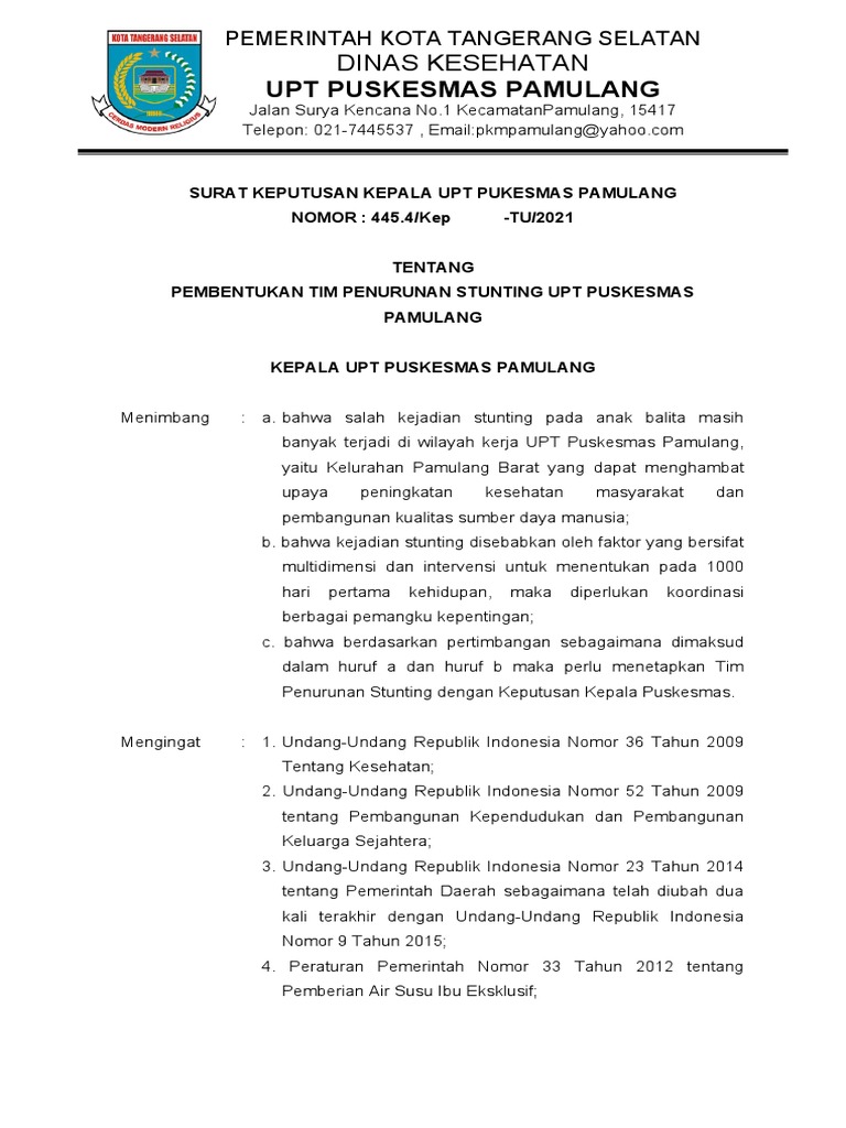 Pembentukan Tim Penurunan Stunting Pamulang | PDF | Pengembangan Diri ...