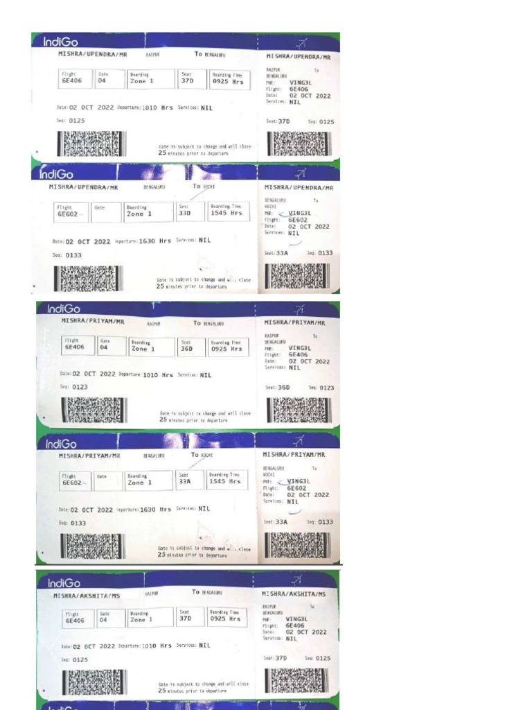 Raipur To Kochi Boarding Pass PDF | PDF