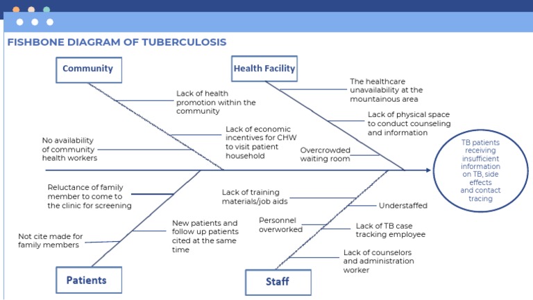 His Tuberculosis Fish Bone Diagram Final | PDF | Tuberculosis | Service ...