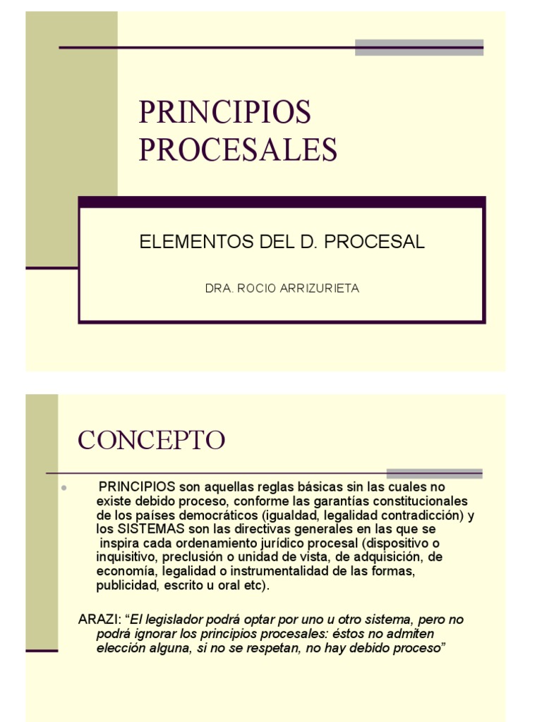 Principios Procesales | PDF