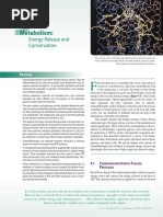 Bioedit DNA Sequence Refinement Guide | PDF | Sequence Alignment | Biotechnology