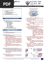 Ideation Via SCAMPER - PARALLEL WORLDS Exercise V2 1 | PDF