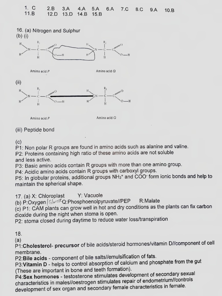 Answer TRIAL BIO S1 SMJK Keat Hwa 2021 R | PDF