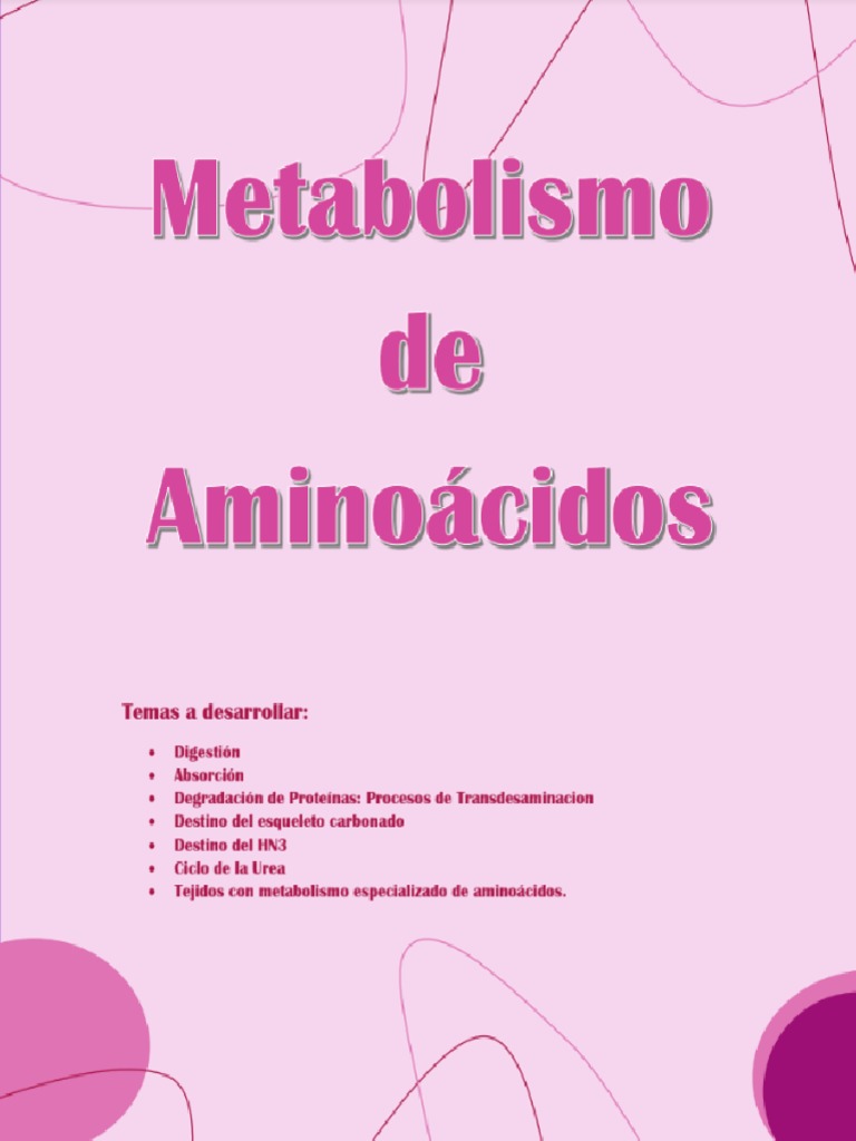 Metabolismo Aminoacidos | PDF