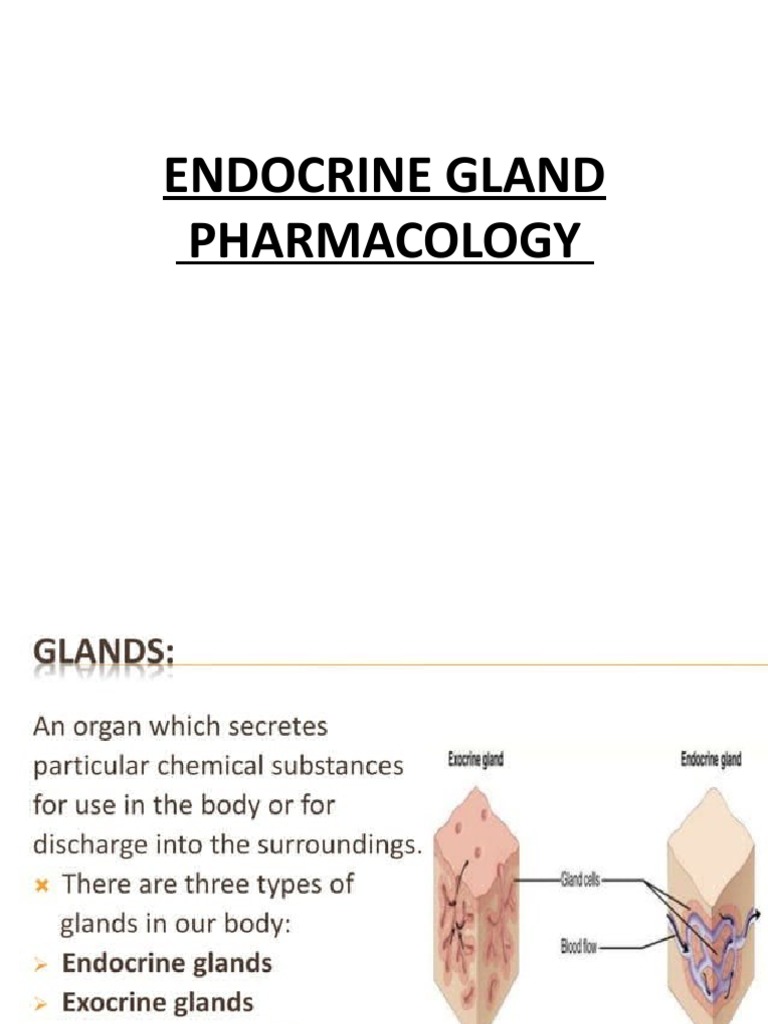 5 - Adrenal Glands (Adrenocorticoids) | PDF | Adrenal Gland ...