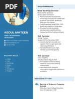 Maastricht Blue Minimalist Professional Resume Web Developer | PDF