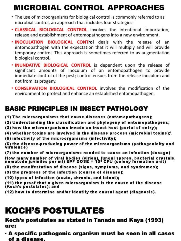History of Insect Pathology PDF | PDF