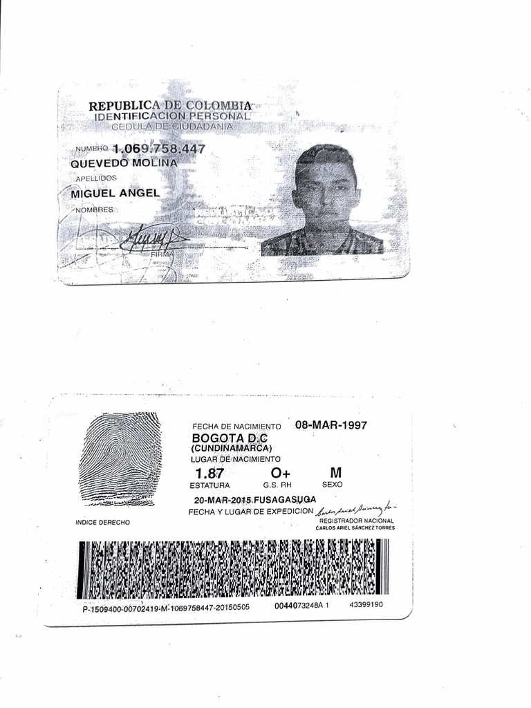 Cedula Miguel 150 PDF | PDF