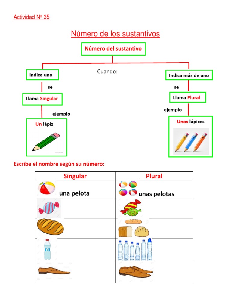 Actividad sobre los números de sustantivo: singular y plural | PDF ...