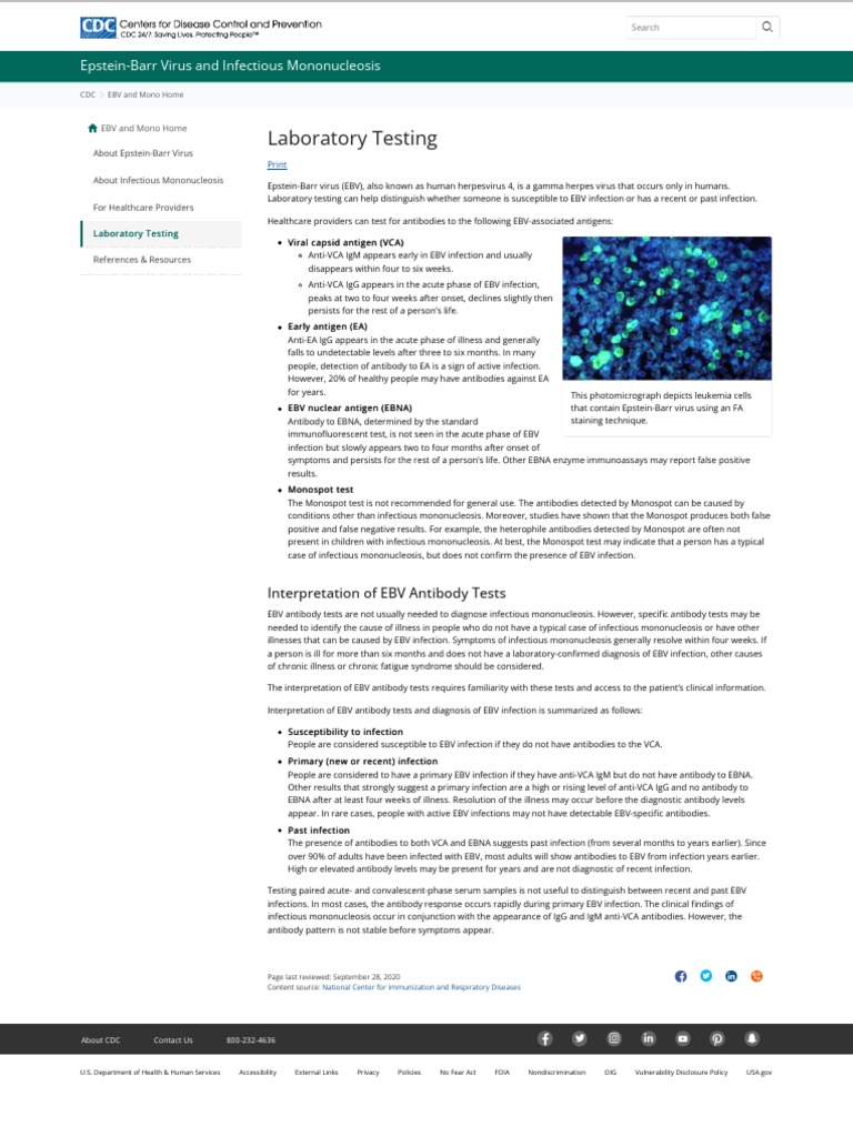 Understanding EBV Testing and Mono | PDF | Infection | Serology