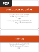 Anatomie du Cavum et Son Exploration | PDF | Tête et cou chez l'humain ...