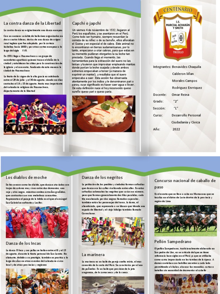 Trabajo DPCC (Triptico) | PDF