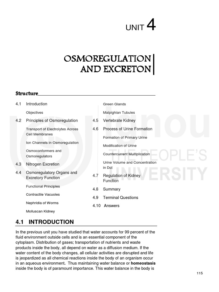 Unit 4 | PDF | Kidney | Chemistry