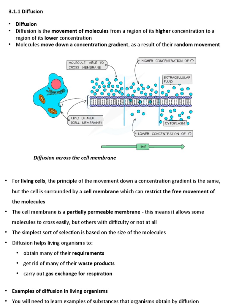 Ch-3 Movement Into & Out of Cell | PDF | Osmosis | Diffusion