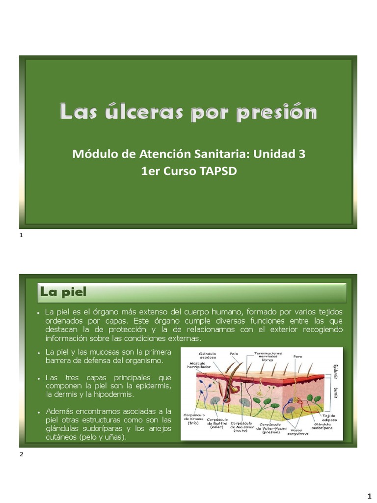 Tema 3 PP02 La Piel y Las UPPs (FUSION 2018) | PDF | Piel | Herida
