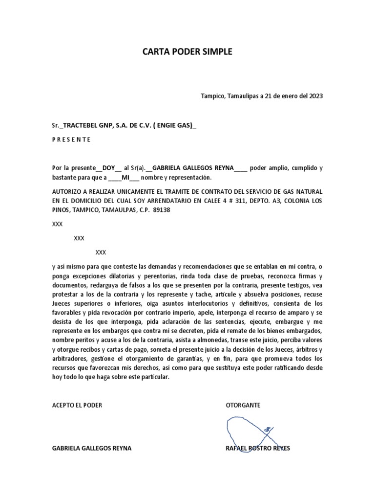 Carta Poder Simple | PDF