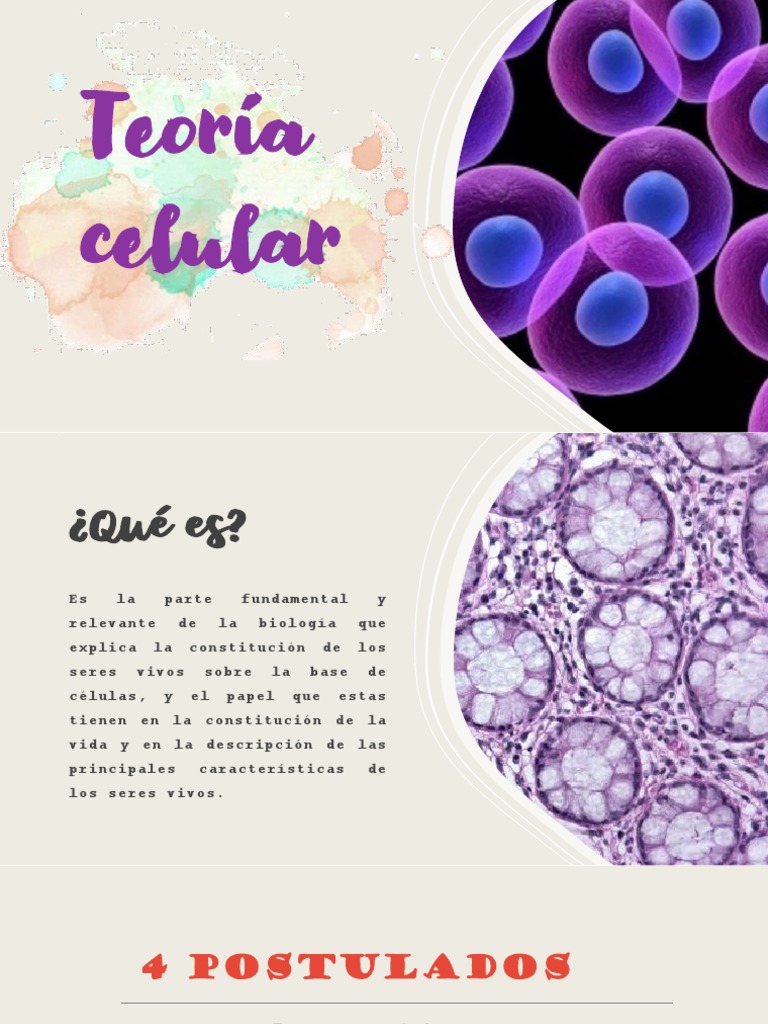 Teoría Celular | PDF