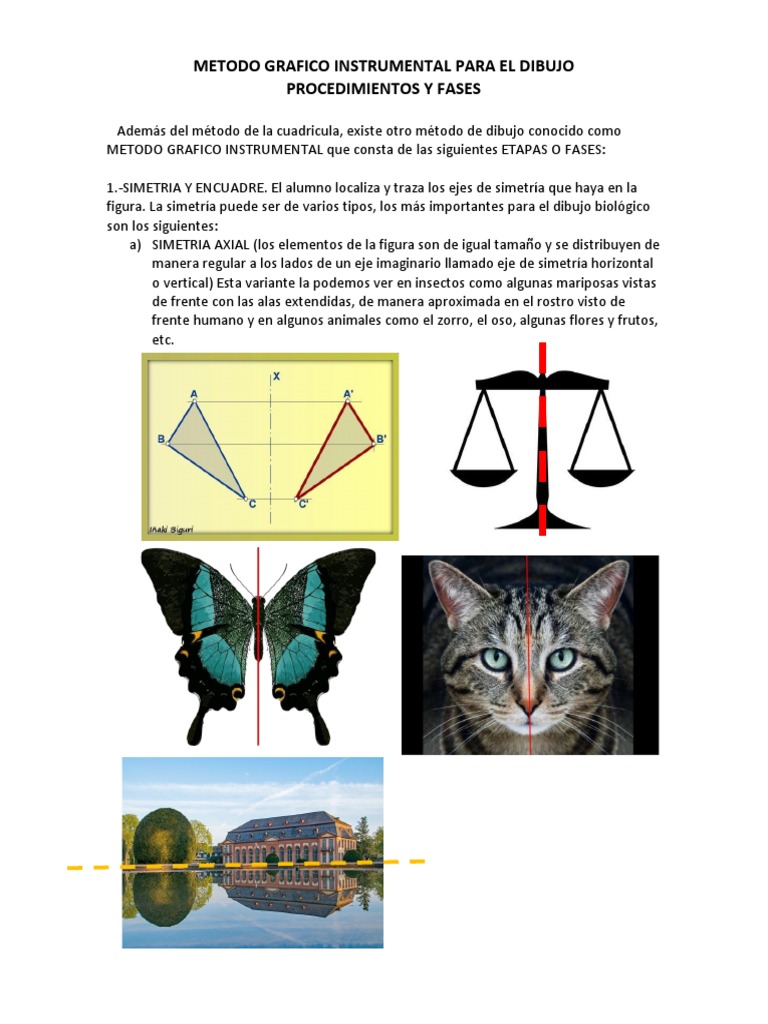Fases y Fundamentos Del Metodo Grafico Instrumental | PDF | Simetría ...