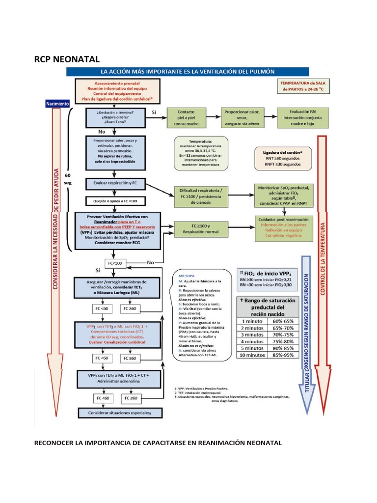 RCP Neonatal | PDF