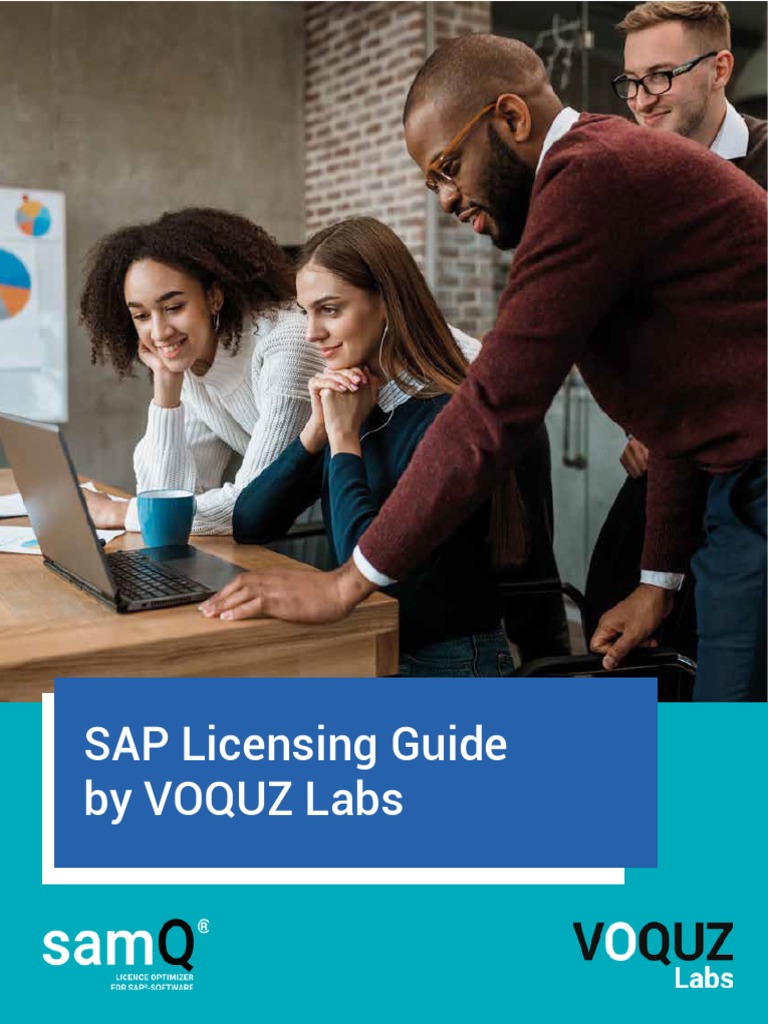Samq Whitepaper SAP Licensing Guide EN PDF | PDF | Audit | Databases