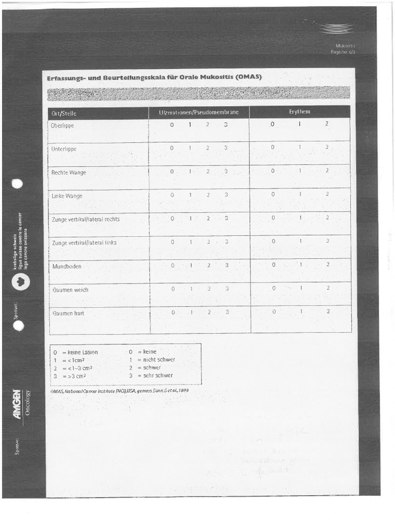 OMAS Assessment Mund | PDF