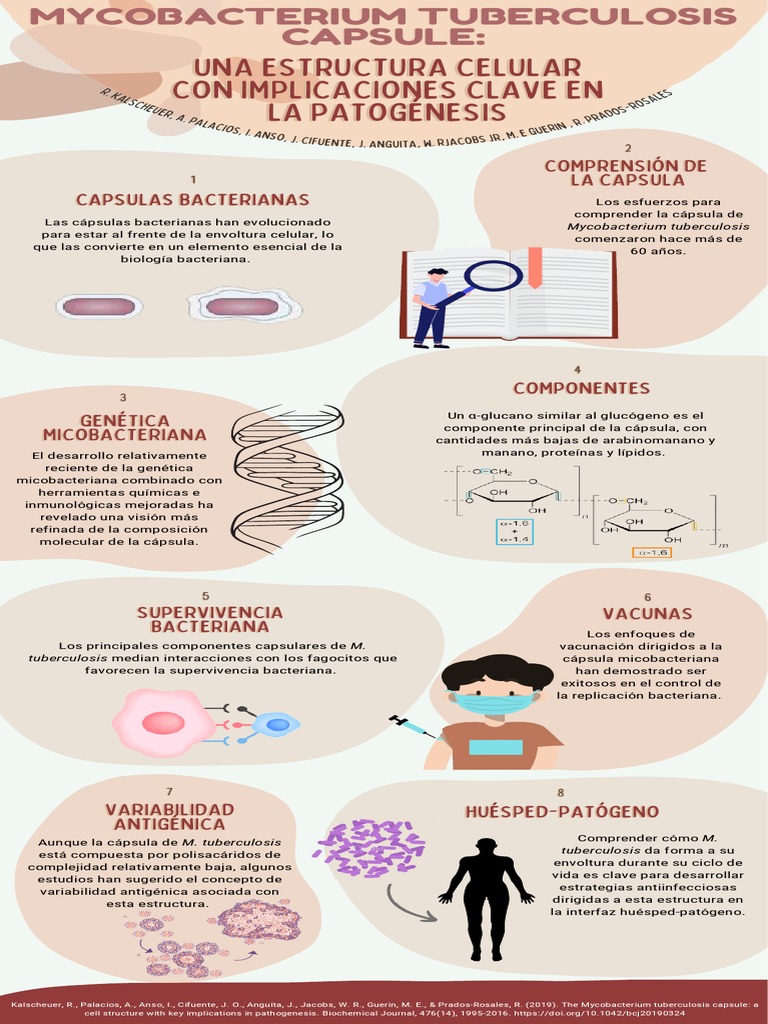 Mycobacterium tuberculosis capsule | PDF | Las bacterias | Biología ...