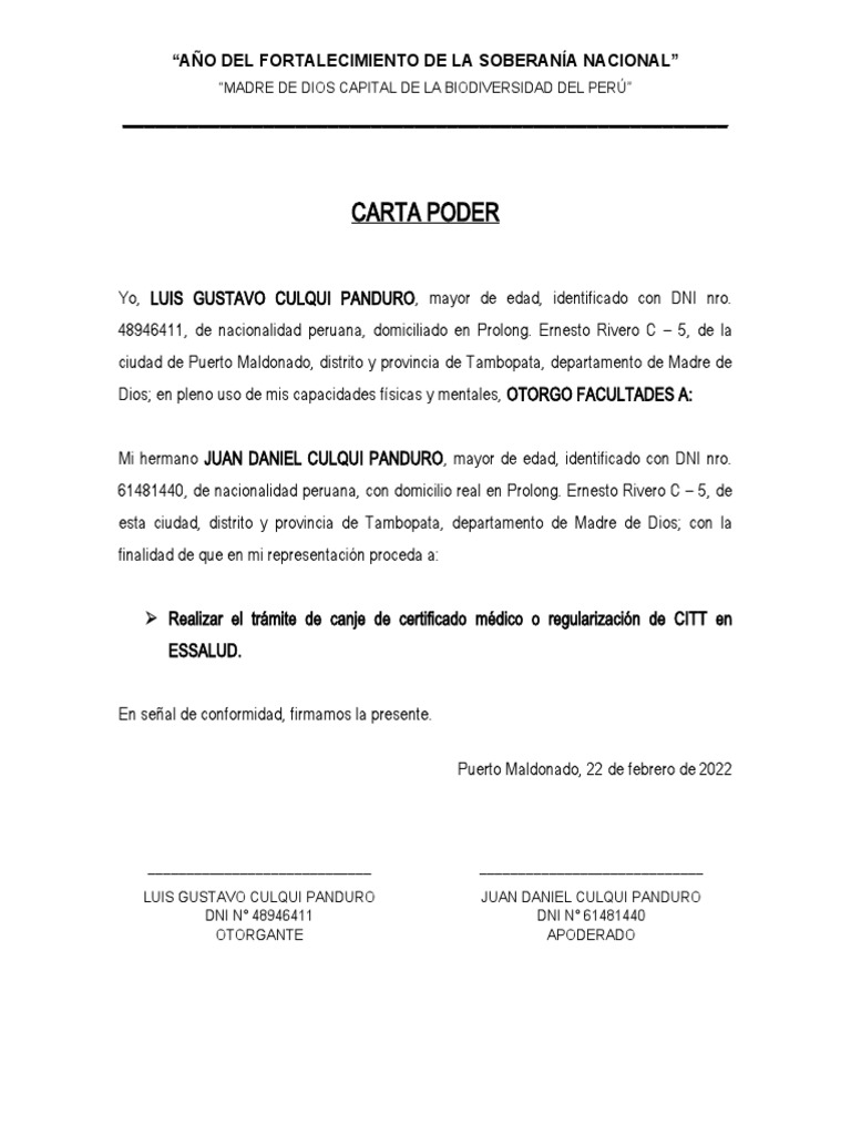 CARTA PODER Luis C | PDF