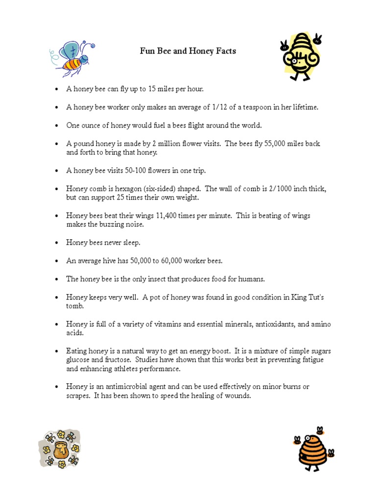 Fun Bee Facts | PDF
