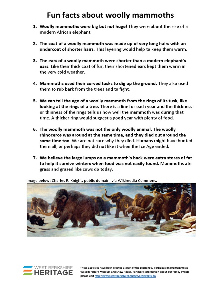Woolly Mammoth Fun Facts Sheet Online Version 2 | PDF | Social Science