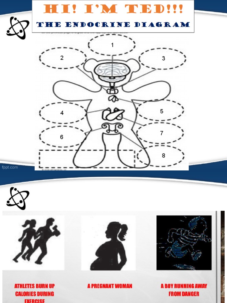 Homeostasis Feedback Mechanism | PDF | Homeostasis