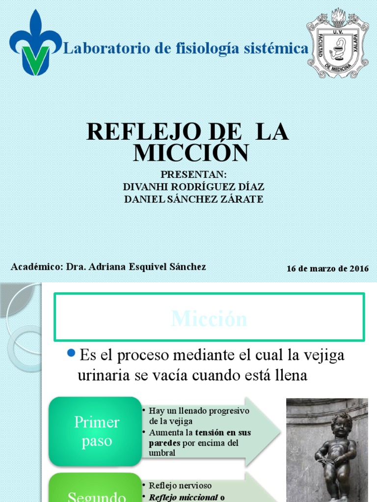 Reflejo de Micción: Proceso y Funciones | PDF | Micción | Vejiga urinaria