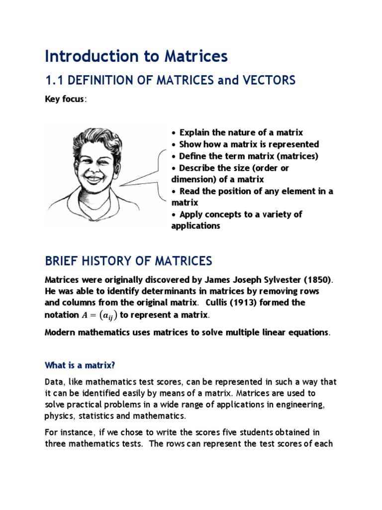 L1 Introduction To Matrices-1 | PDF | Matrix (Mathematics) | Vector Space