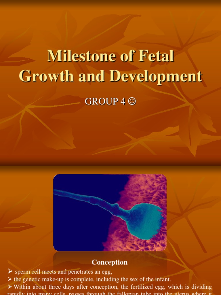 Milestone of Fetal Growth and Development | Fetus | Prenatal Development