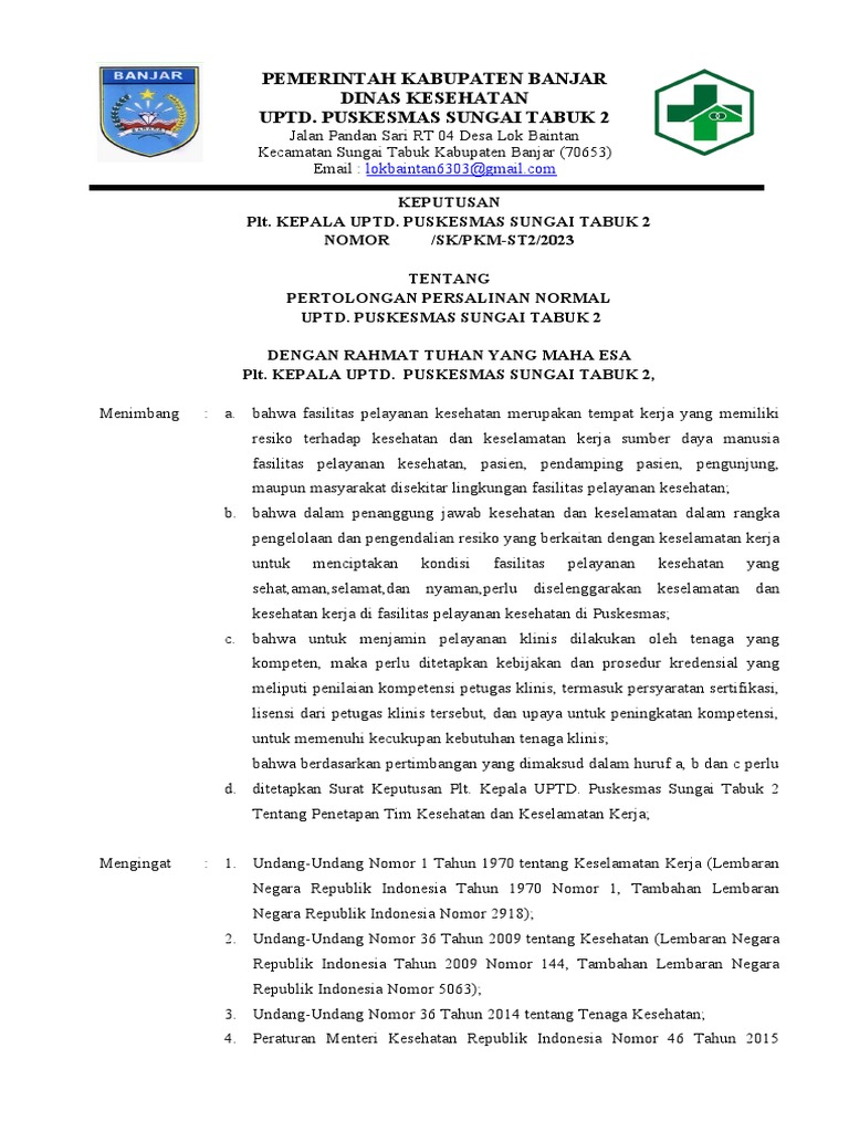 SK Pelayanan Persalinan Normal | PDF