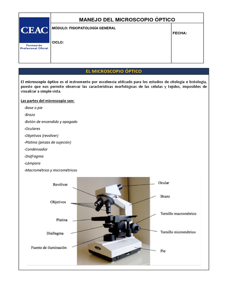 Manejo Microscopio Óptico PDF | PDF | Microscopio | Radiación electromagnética