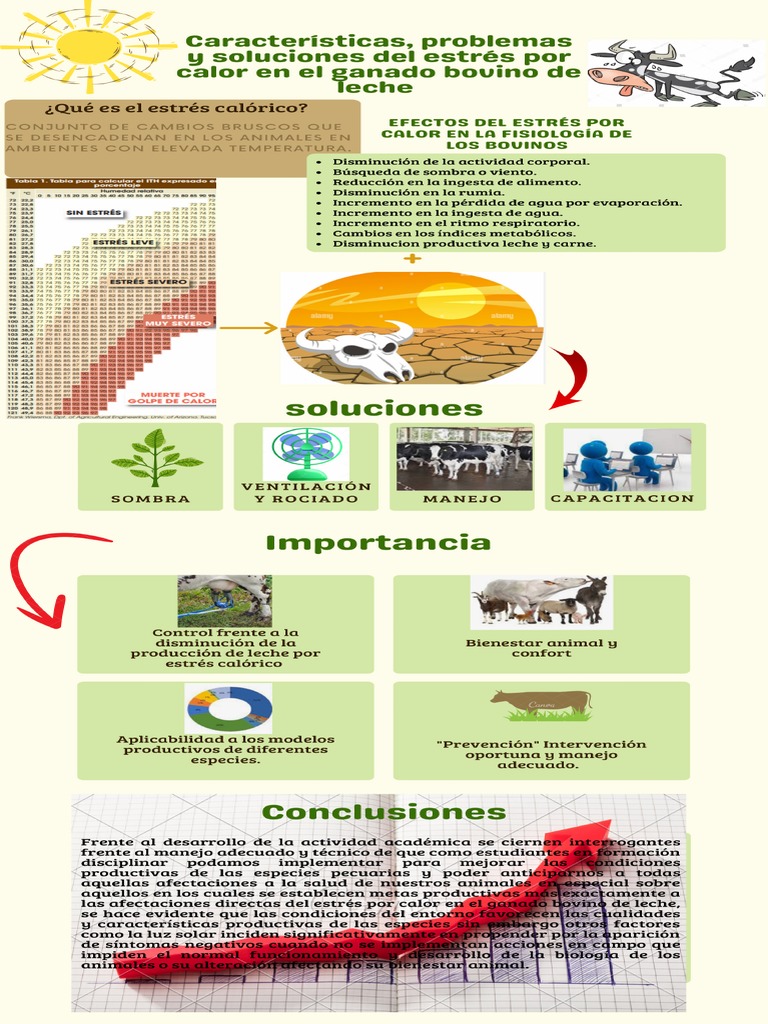 Infografía Estres Calorico Bovinos | PDF