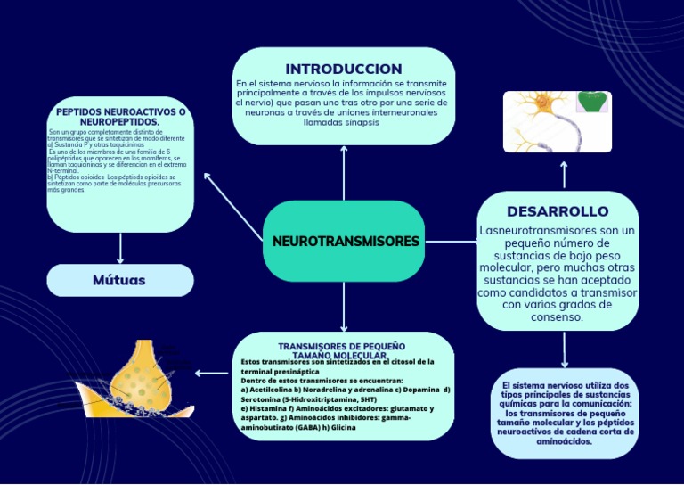 Mapa Conceptual s3 PDF | PDF | Serotonina | Sinapsis
