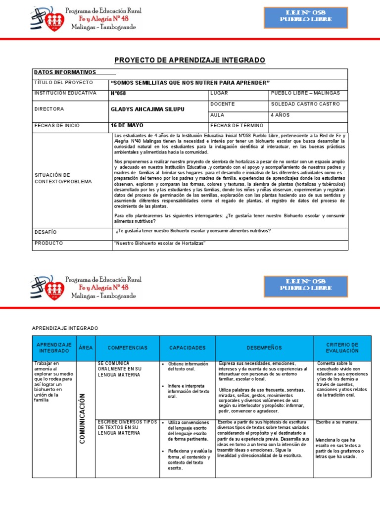 Proyecto de Aprendizaje Integrado | PDF | Información | Aprendizaje