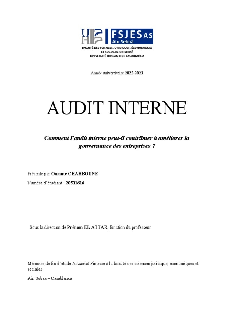 Pfe Audit Interne | PDF