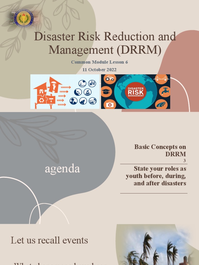 Disaster Risk Reduction and Management (DRRM) | PDF