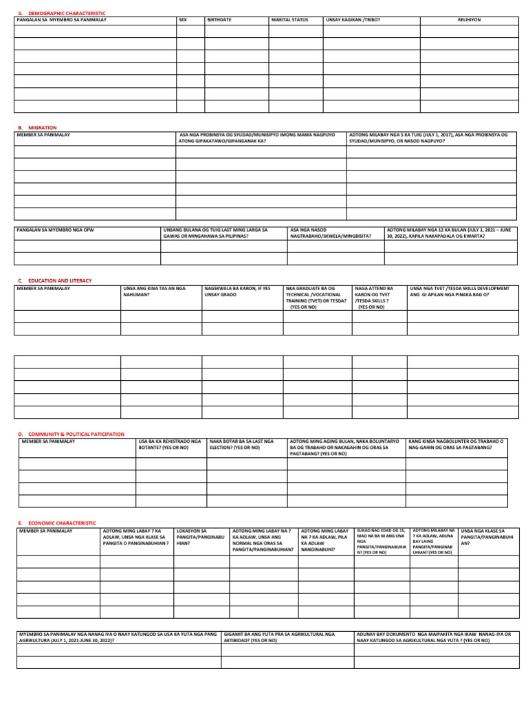 CBMS-FORM-FOR-BARANGAY | PDF