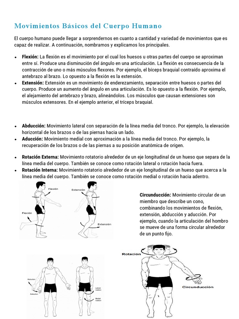 Tipos de Movimientos | PDF