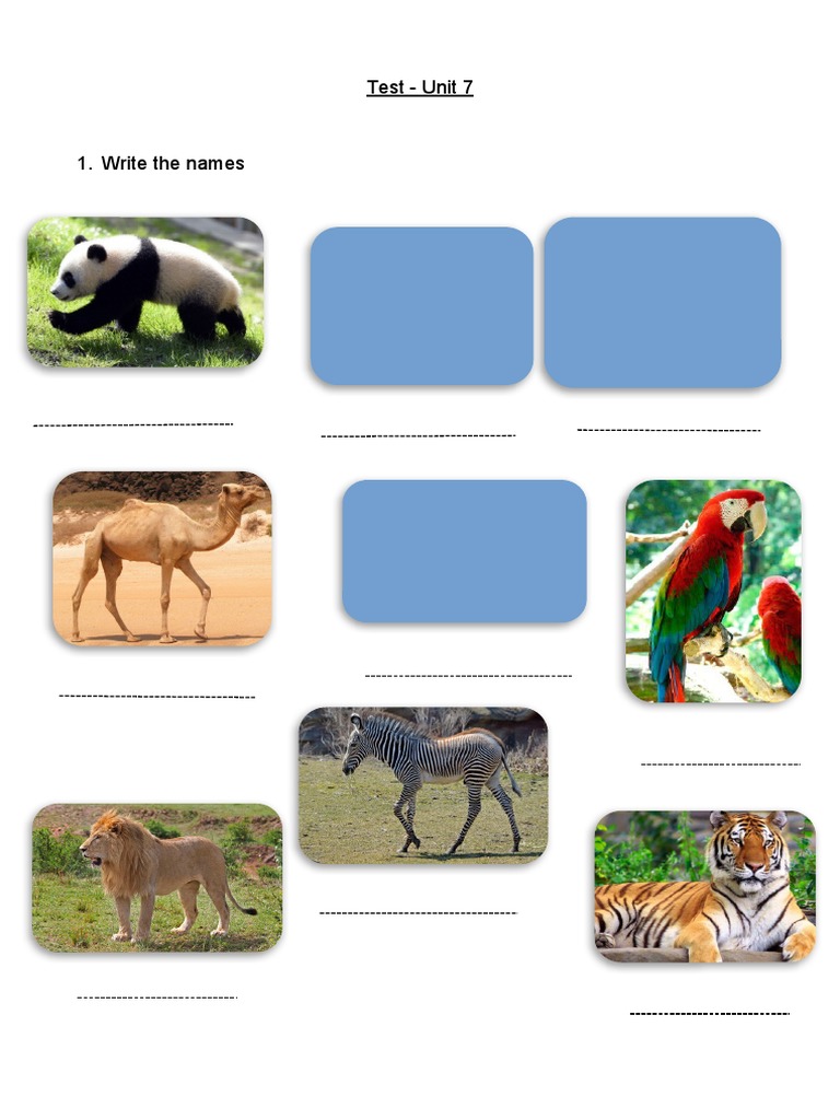 Unidad 7 - Our World 2 - 2nd Edition | PDF