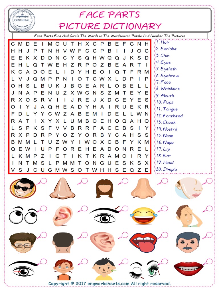 An Interactive Guide to Facial Features: A Wordsearch and Picture ...