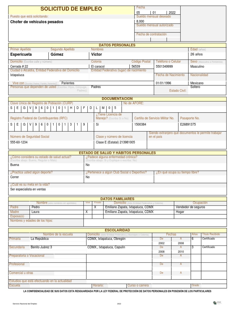 Sne Solicitud de Empleo Contestada PDF | PDF